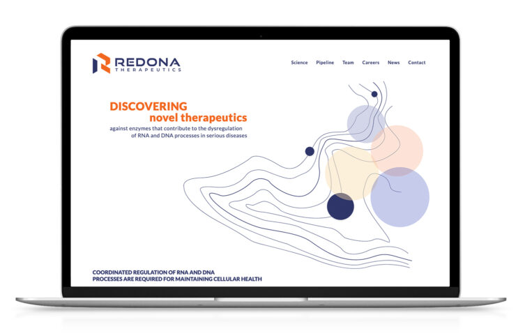 Redona Therapeutics - Graphic Beans